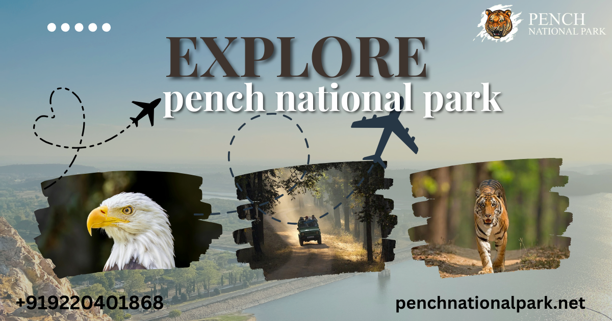 Pench National Park: A New Hub for Wildlife Photography and Storytelling